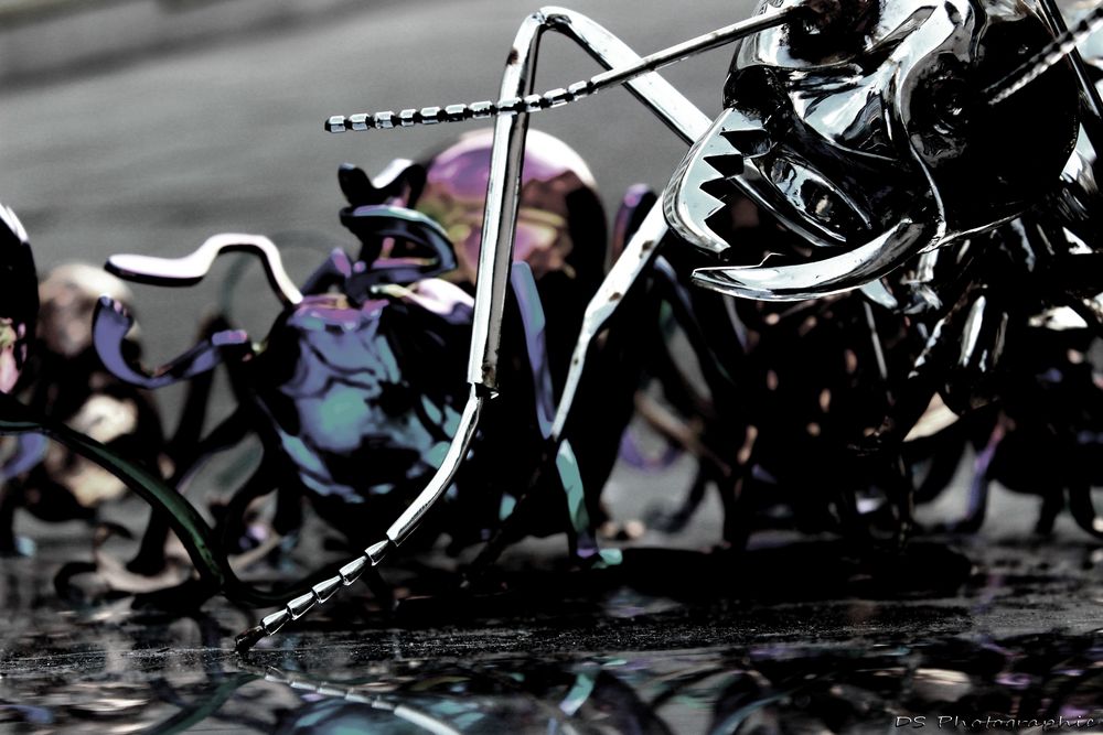 Terminator-Bug Foto & Bild | kunst, bug, terminator Bilder auf ...