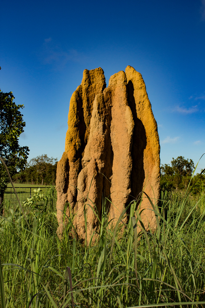 Termite Hill Foto & Bild | australia, world, natur Bilder auf fotocommunity