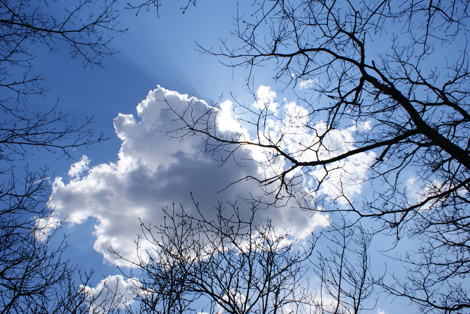 terra e cielo Foto % Immagini| paesaggi, nuvole, natura Foto su ...
