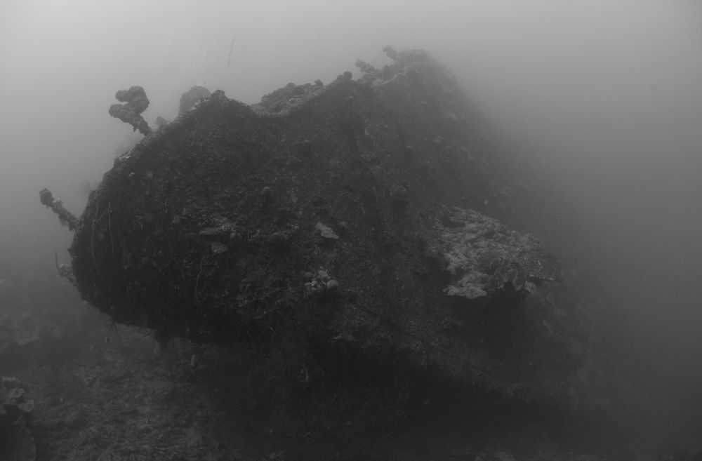 Teshiu Maru Foto & Bild | unterwasser, uw-salzwasser, natur-kreativ ...