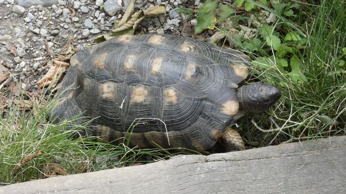 Italy, Vatican City, S Marino Bilder & Fotos
