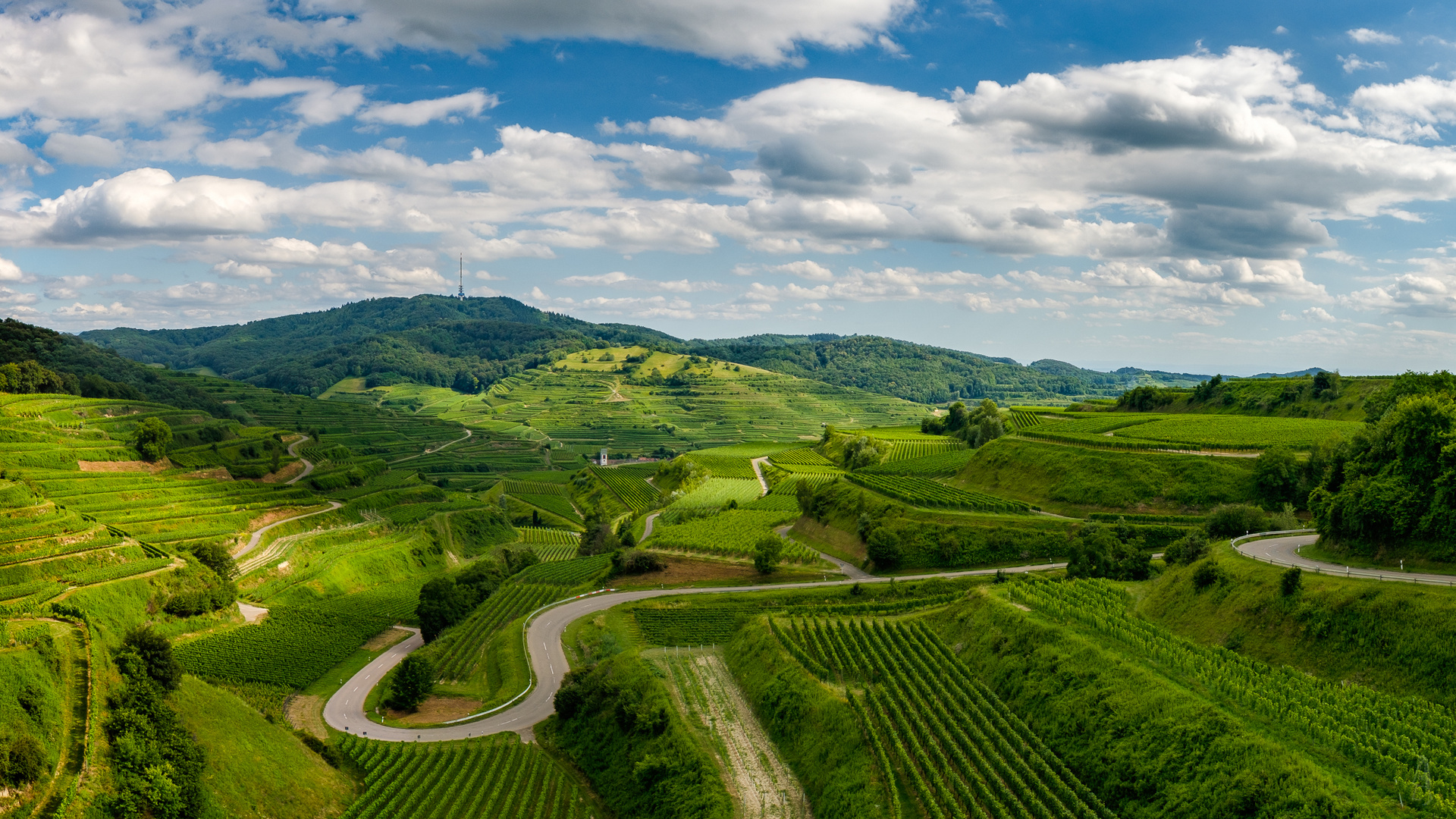 Texaspass - Kaiserstuhl Foto & Bild | urlaub, wald, bäume Bilder auf ...