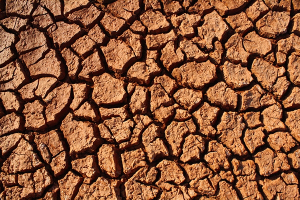 TEXTURA Imagen & Foto | elementos , naturaleza Fotos de fotocommunity