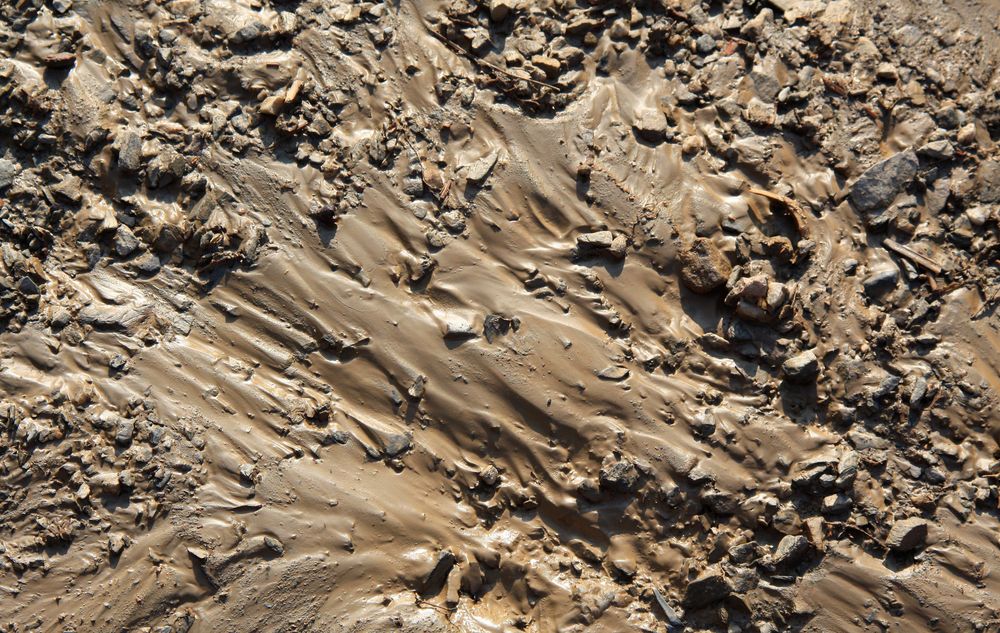 Textura de lodo Imagen & Foto | naturaleza diversa , lodo. río ...
