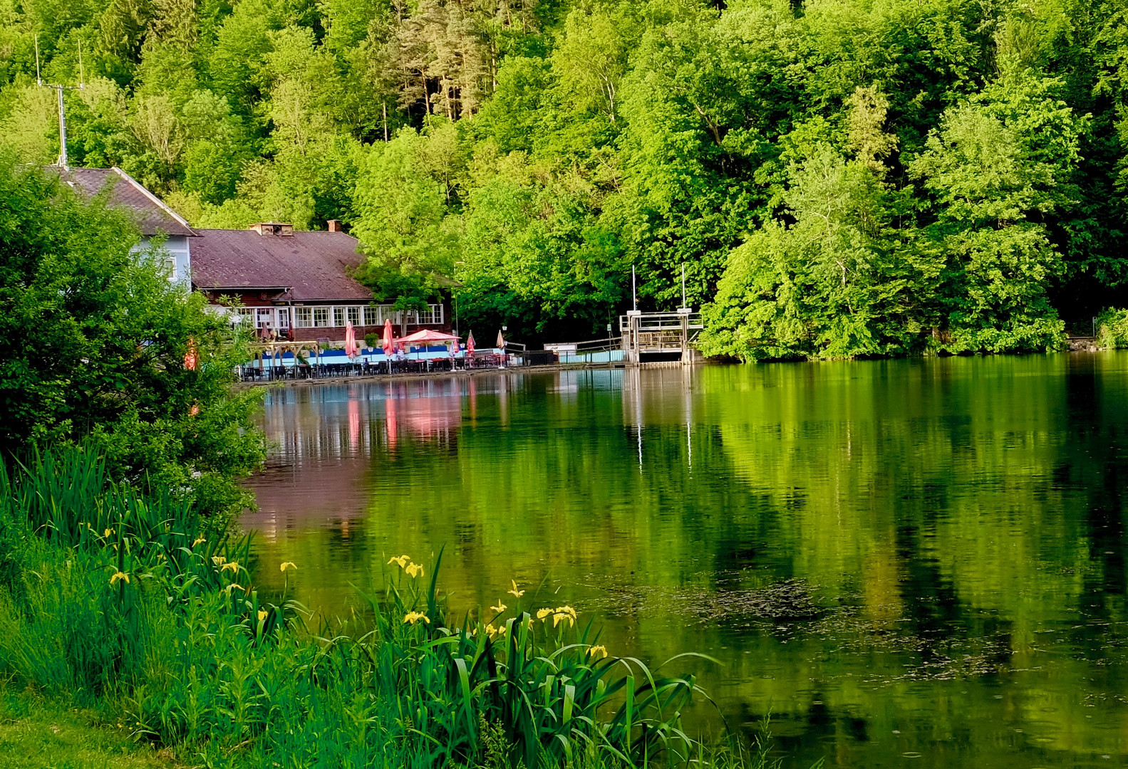 Thalersee Foto & Bild | landschaft, natur Bilder auf fotocommunity