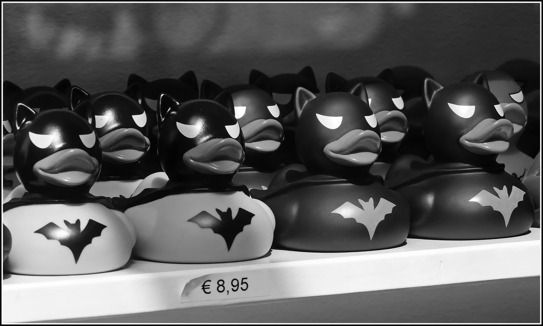 The Bat-Ducks Foto & Bild | world, spezial, s-w Bilder auf fotocommunity