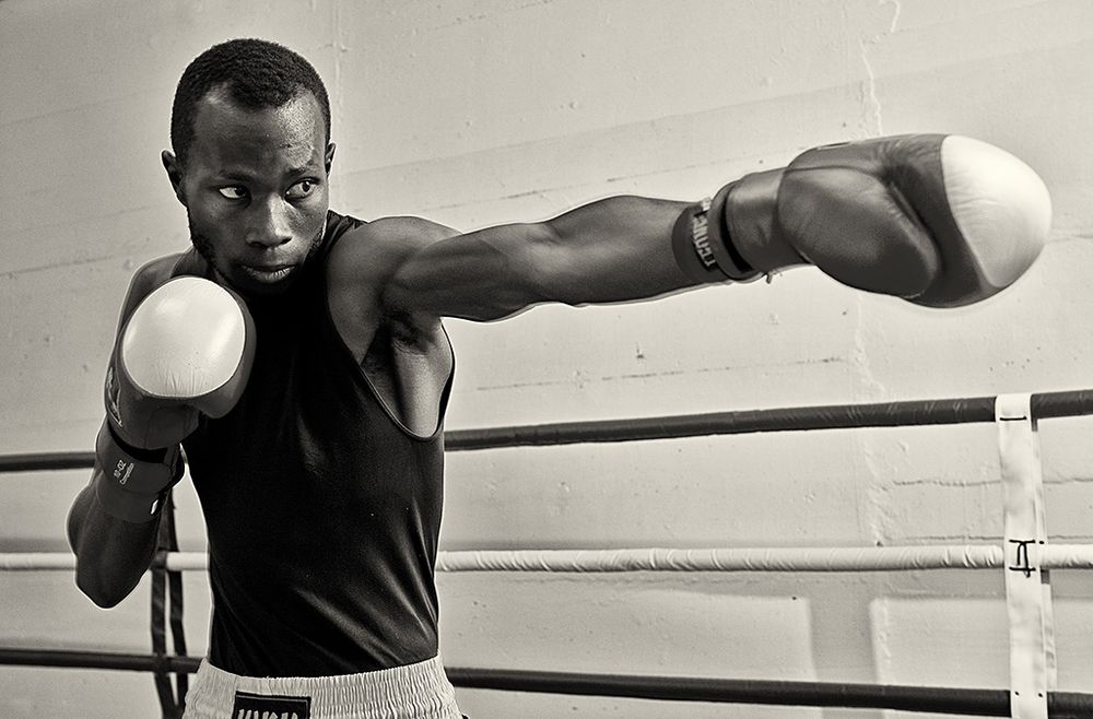 The Boxer Foto & Bild | sport, portrait, sports Bilder auf fotocommunity