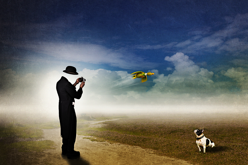 the brainless Photographer Foto & Bild | fotomontage, composing , surreal Bilder auf fotocommunity