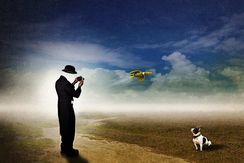 the brainless Photographer Foto & Bild | fotomontage, composing , surreal Bilder auf fotocommunity