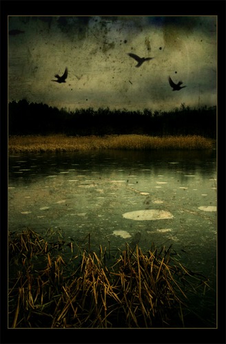 The cursed place Foto & Bild | landscape, rivers, streams & lakes ...