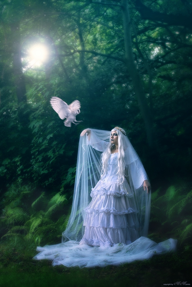 ~ the fairies wind ~ Foto & Bild | szene, fantasy, menschen Bilder auf ...
