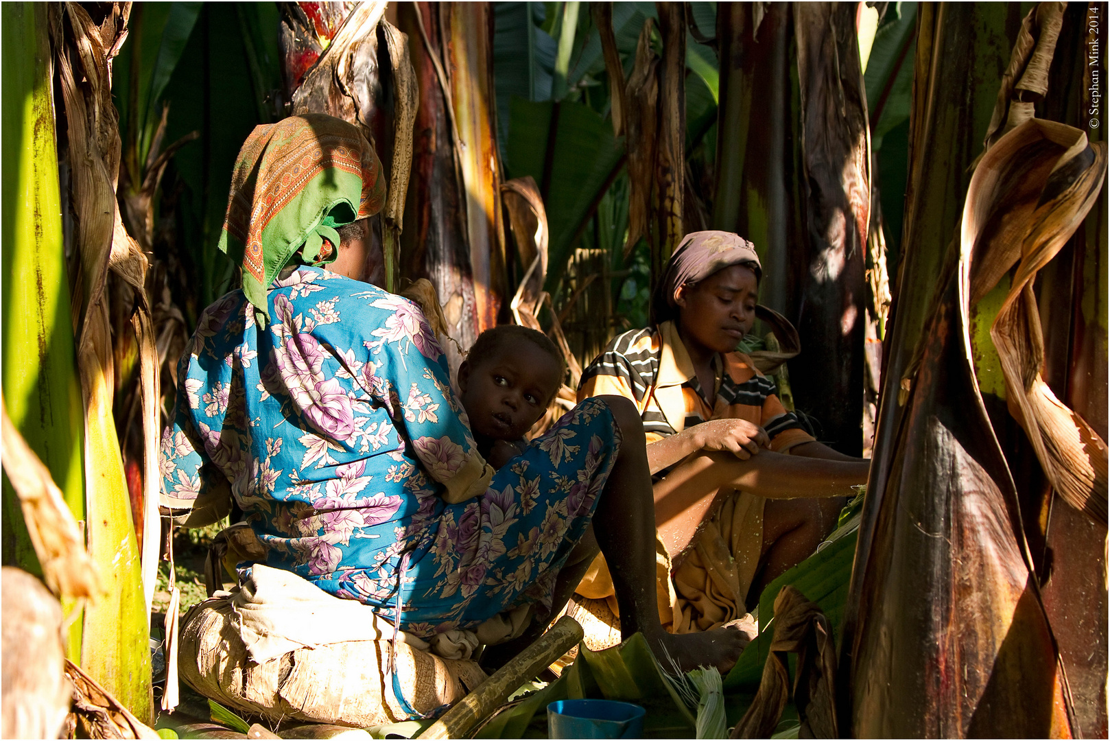 The false banana Foto & Bild | africa, eastern africa, ethiopia Bilder ...