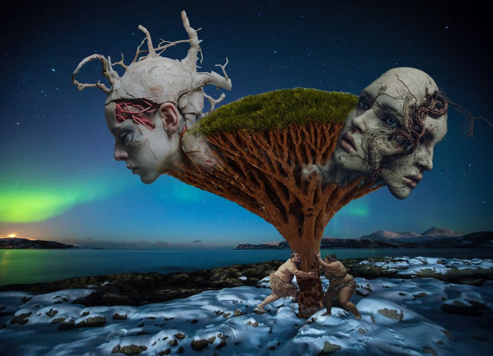 the fight Foto & Bild | ki - montagen, ki Bilder auf fotocommunity