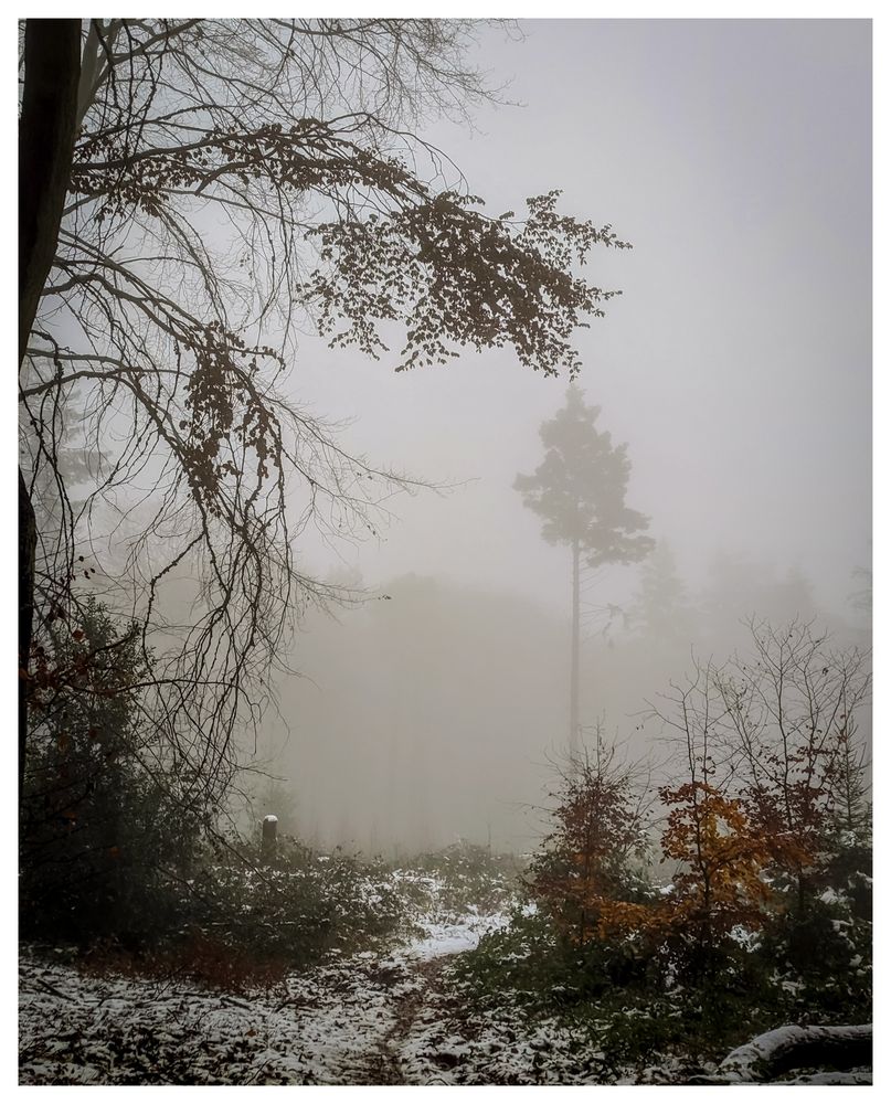 The Fog Foto & Bild | landschaft, jahreszeiten, natur-kreativ Bilder auf fotocommunity