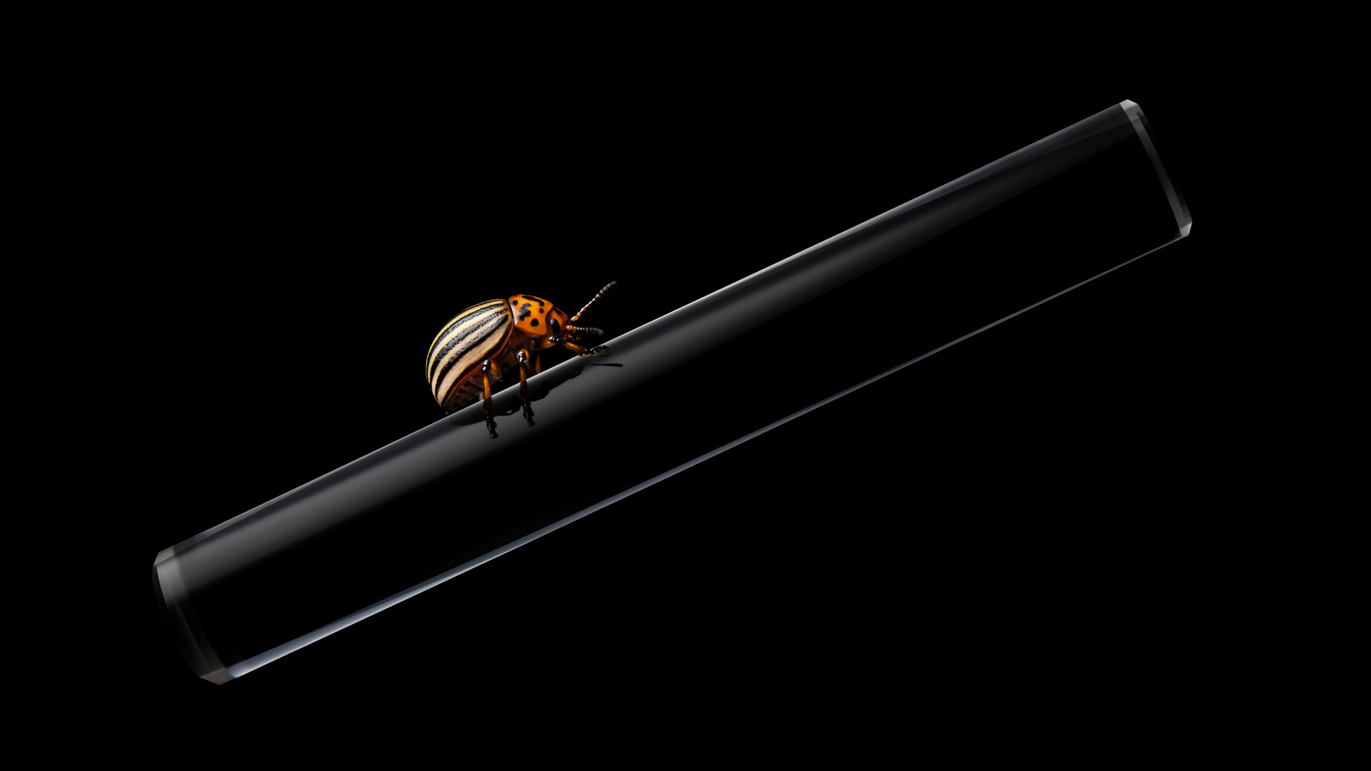 THE GLASS RUNNER Foto & Bild | fotos, art, spezial Bilder auf fotocommunity