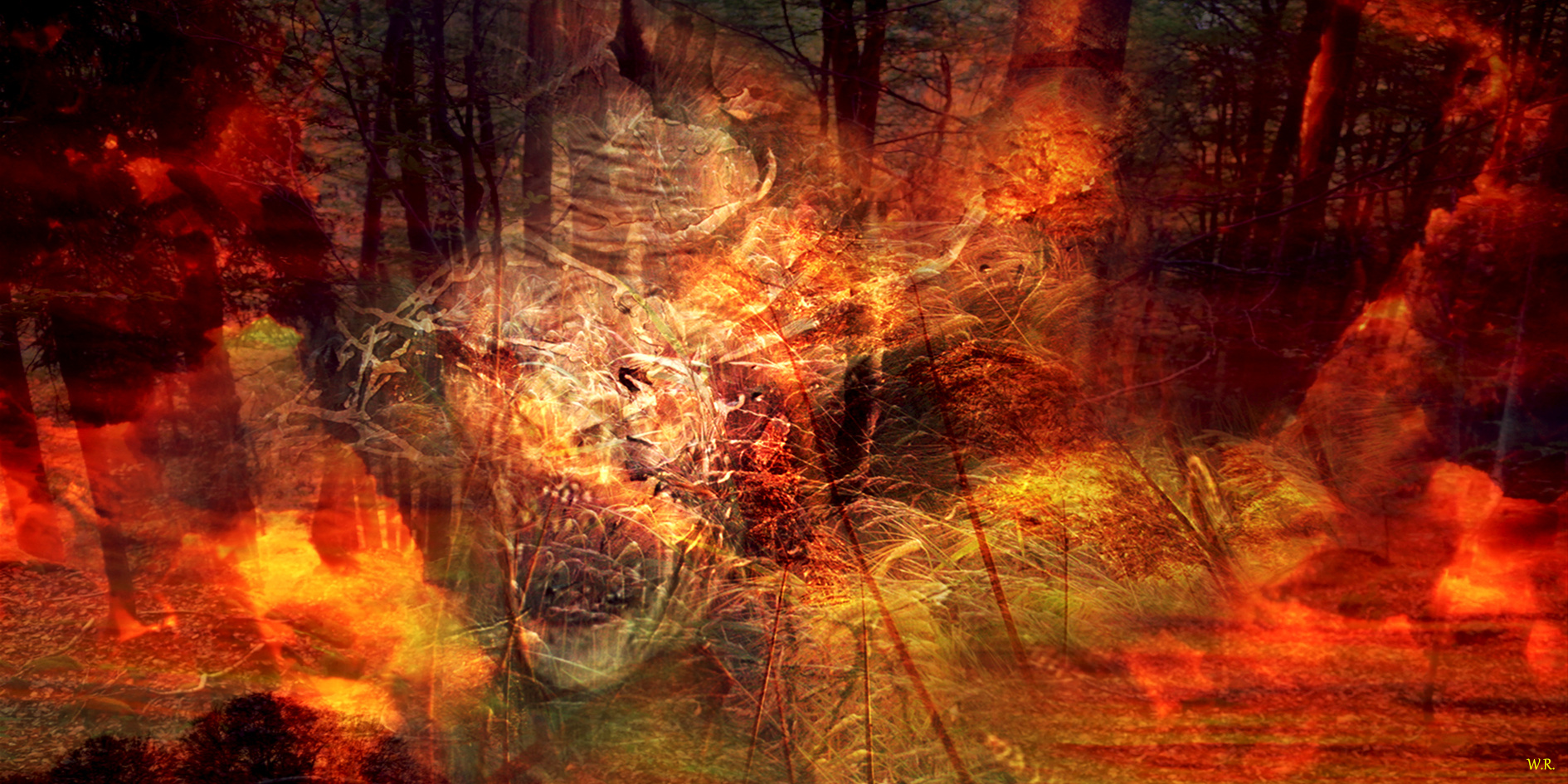 The grotesque face of greed Foto & Bild | art, spezial, bäume Bilder ...