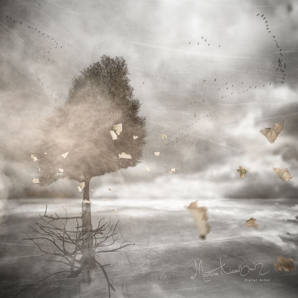 The last autumn Foto & Bild | fotomontage, fantasy mystery, composing Bilder auf fotocommunity