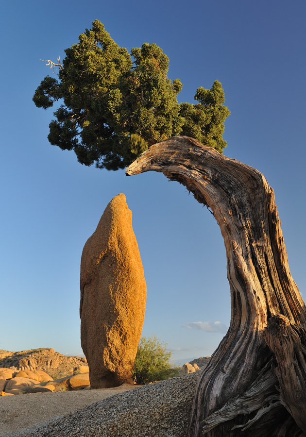 *the obelisc* Foto & Bild | north america, united states, national ...