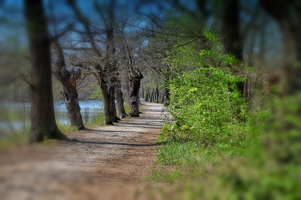 The Path to Somewhere Foto & Bild | landschaft, fotos, outdoor Bilder ...
