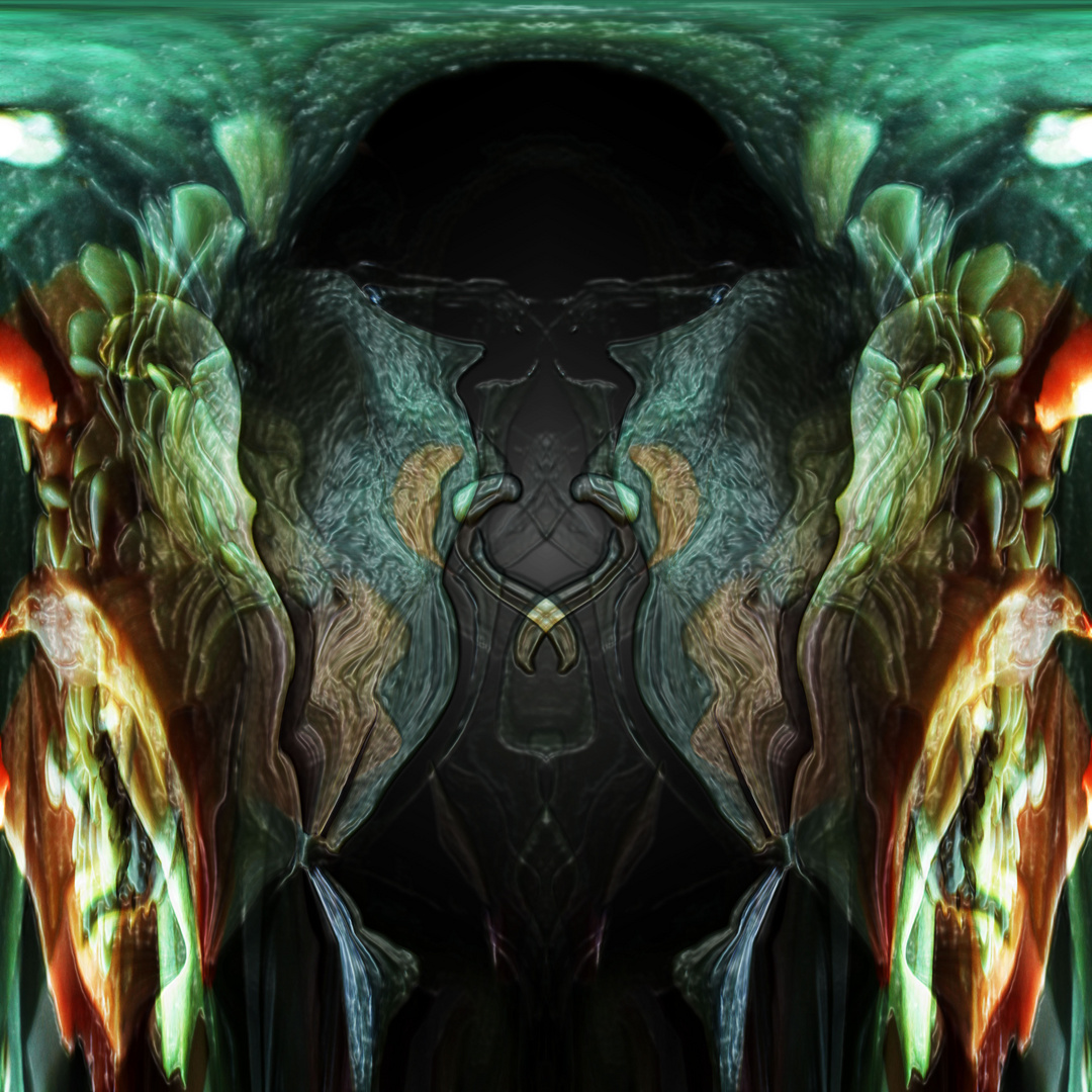 The return of the black rabbit 2022 Foto & Bild | bearbeitungs - techniken, filtertechniken ...