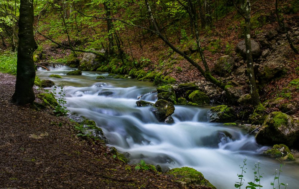 The River is flowing - Der Fluss geht auf die Reise Foto & Bild | landschaft, bach, fluss & see ...