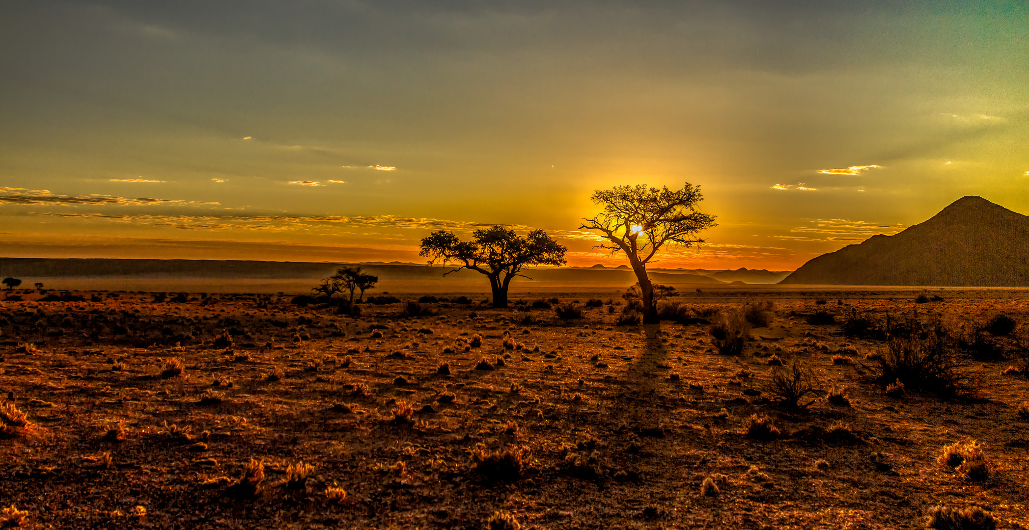 the shadows are getting longer Foto & Bild | nature, world ...