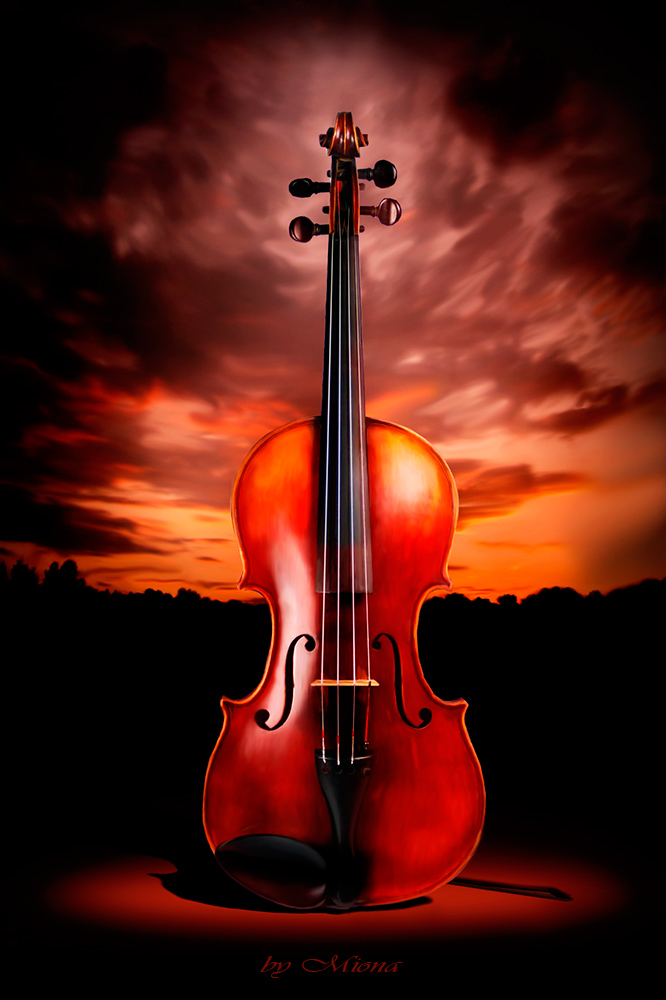 the violin Foto & Bild | fotomontage, composing , geige Bilder auf ...