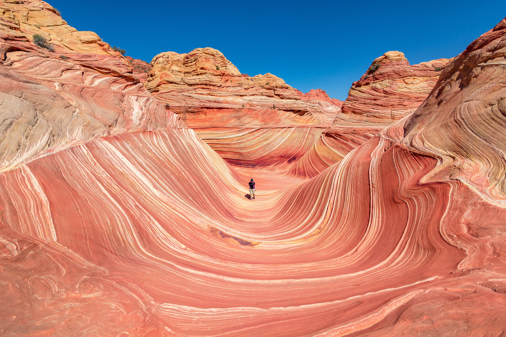 ***THE WAVE*** Foto & Bild | north america, united states, sonstiges ...