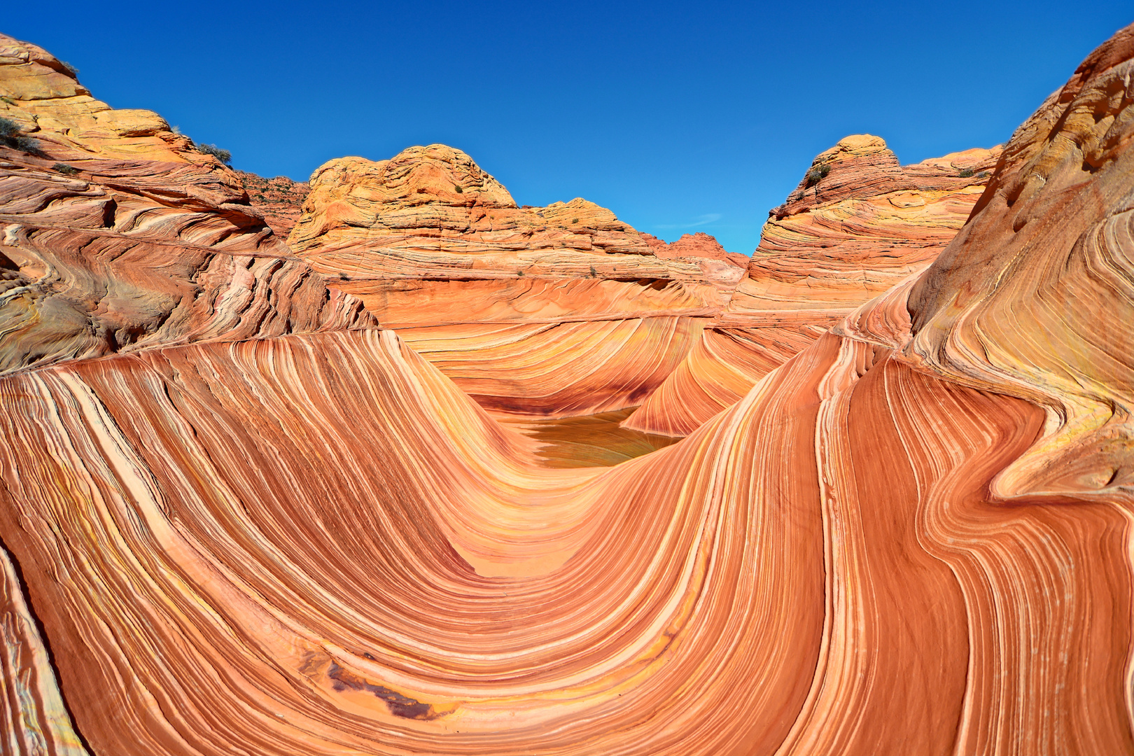 The Wave, Arizona Sept 2015 Foto & Bild | landschaft, impressionen ...