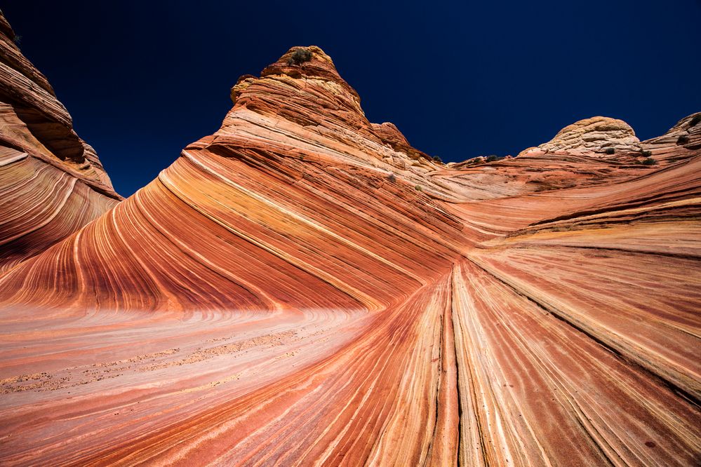 The Wave I Foto & Bild | north america, united states, landschaft ...