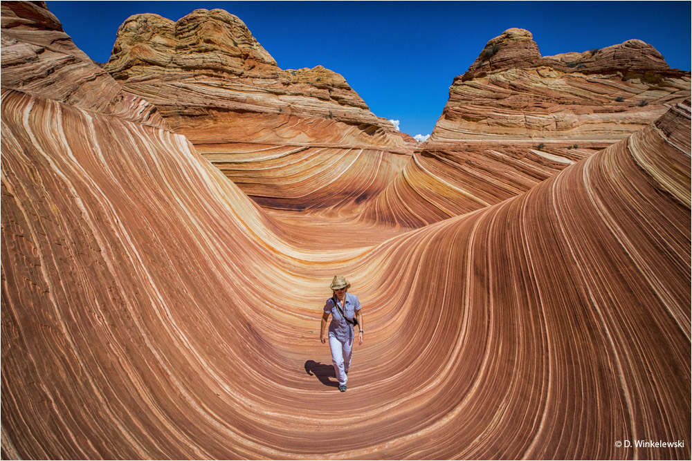 The Wave [II] Foto & Bild | landschaft, usa, arizona the wave ...