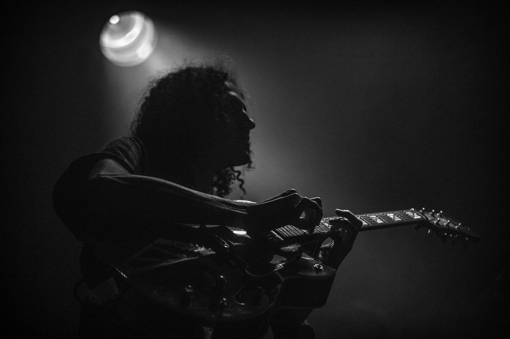 the young Zappa Foto & Bild | konzert, live, art Bilder auf fotocommunity