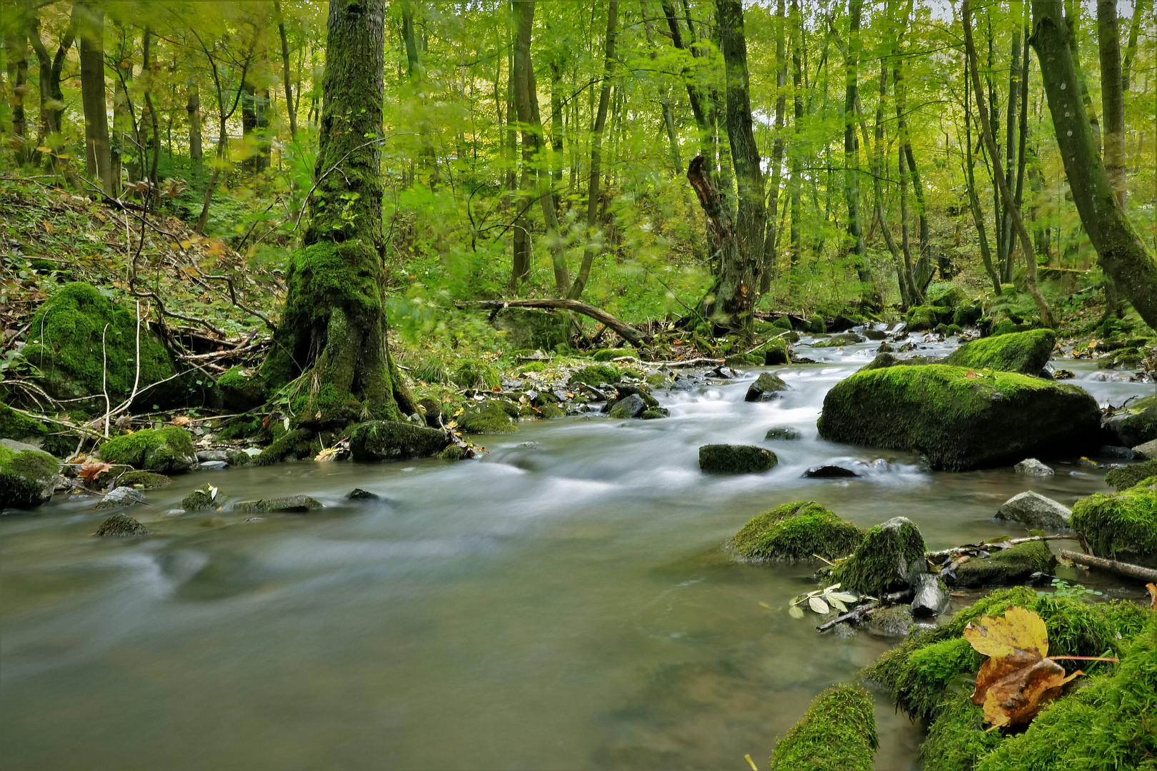 Themenarbeiten Team Pedro "Langzeitbelichtung" Foto & Bild | spezial ...