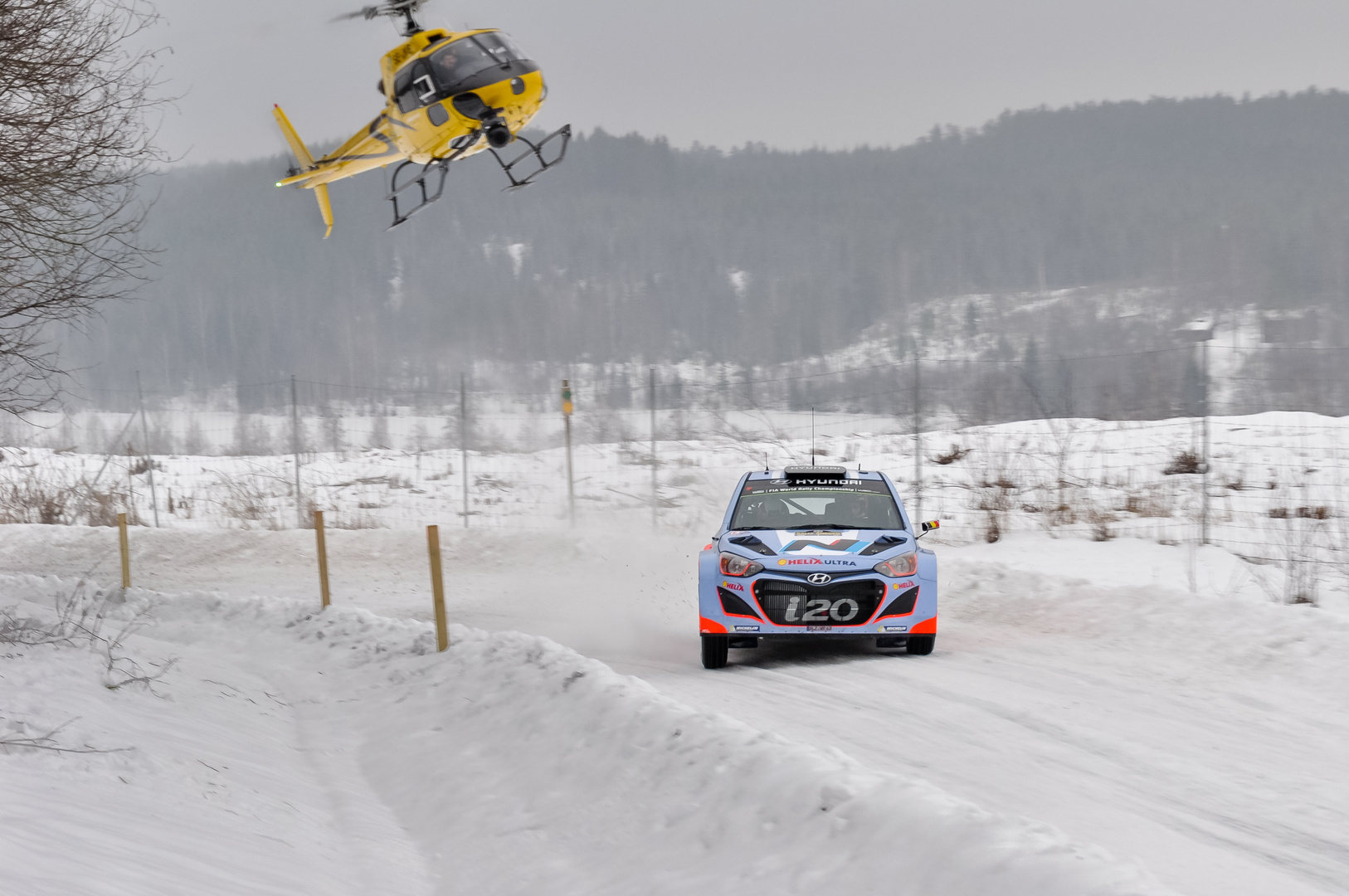 Thierry Neuville Schweden Rally 2014 Foto & Bild | sport, world, wald ...