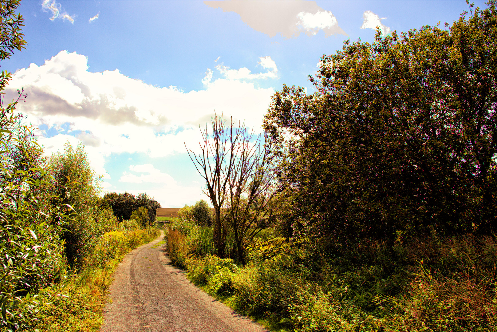 Thürer Wiesen Foto & Bild | landschaft, lebensräume, natur Bilder auf ...