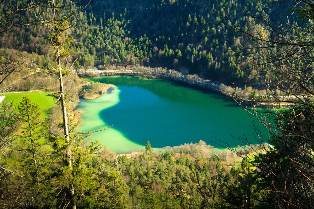 Thumsee Foto & Bild | landschaft, bach, fluss & see, see, teich ...