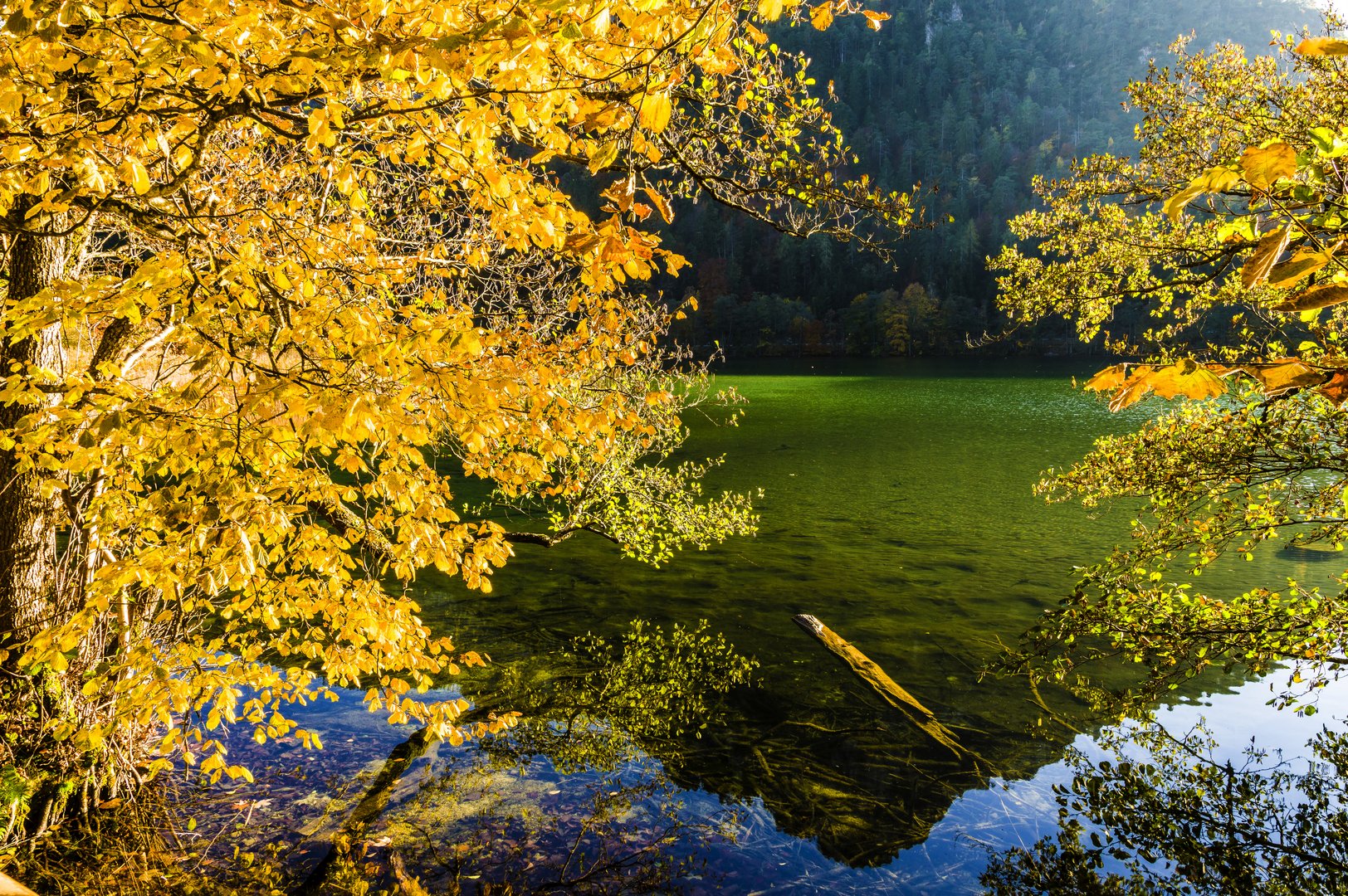 Thumsee im Herbst Foto & Bild | monatswettbewerbe natur, 2021, 12 dein ...