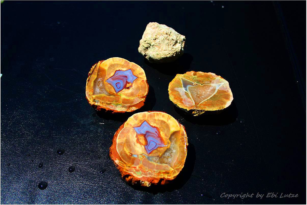 * Thunder Eggs / Lithophysae * Foto & Bild | australia & oceania ...