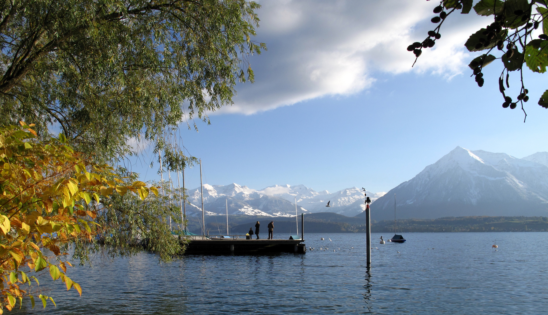 Thunersee Foto & Bild | landschaft, berge, bergseen Bilder auf ...