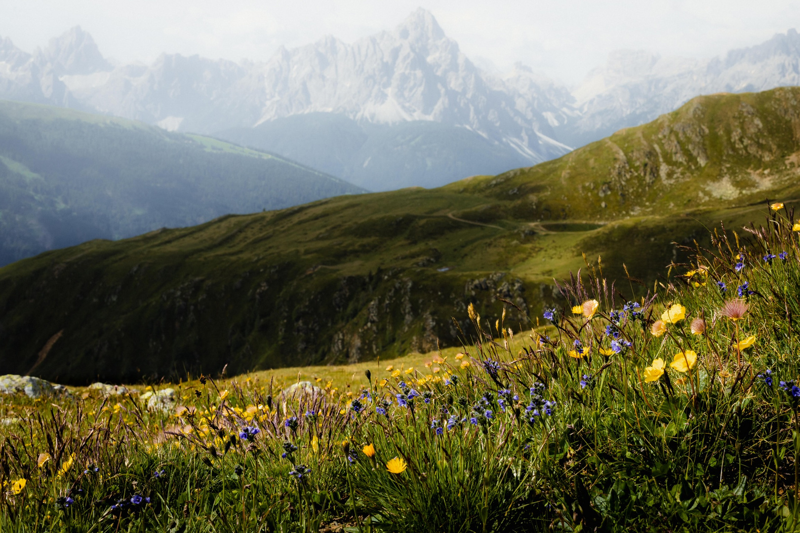 Thurntaler/ Osttirol 2022 Foto & Bild | landschaft, berge, gipfel und ...