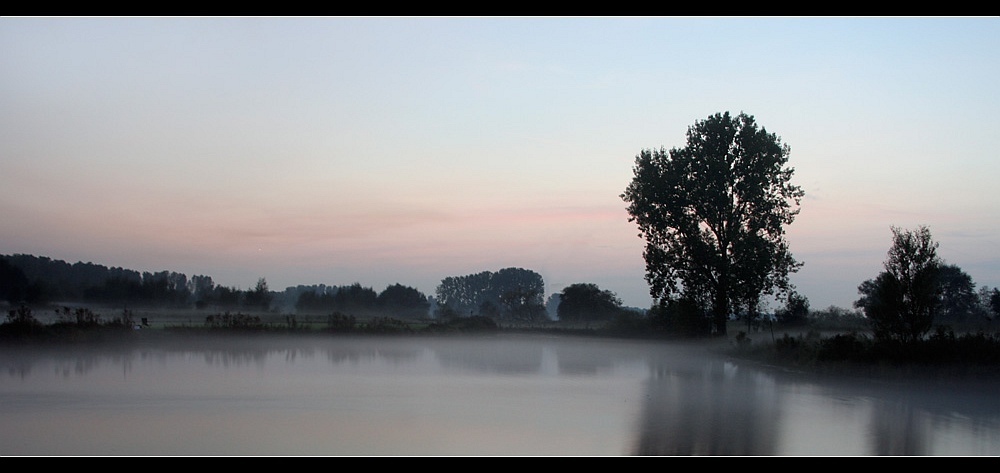 TIBAUM II Foto & Bild | archiv projekte naturchannel, naturprojekte ...