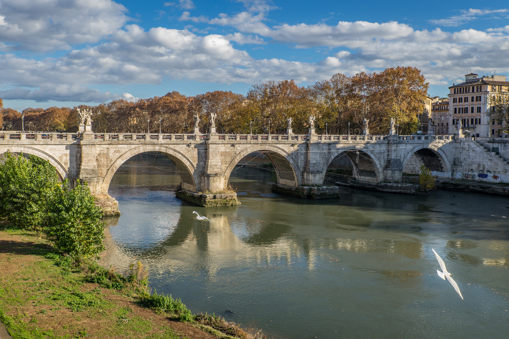 Tiber I - Rom Foto & Bild | wasser, natur, landschaft Bilder auf ...