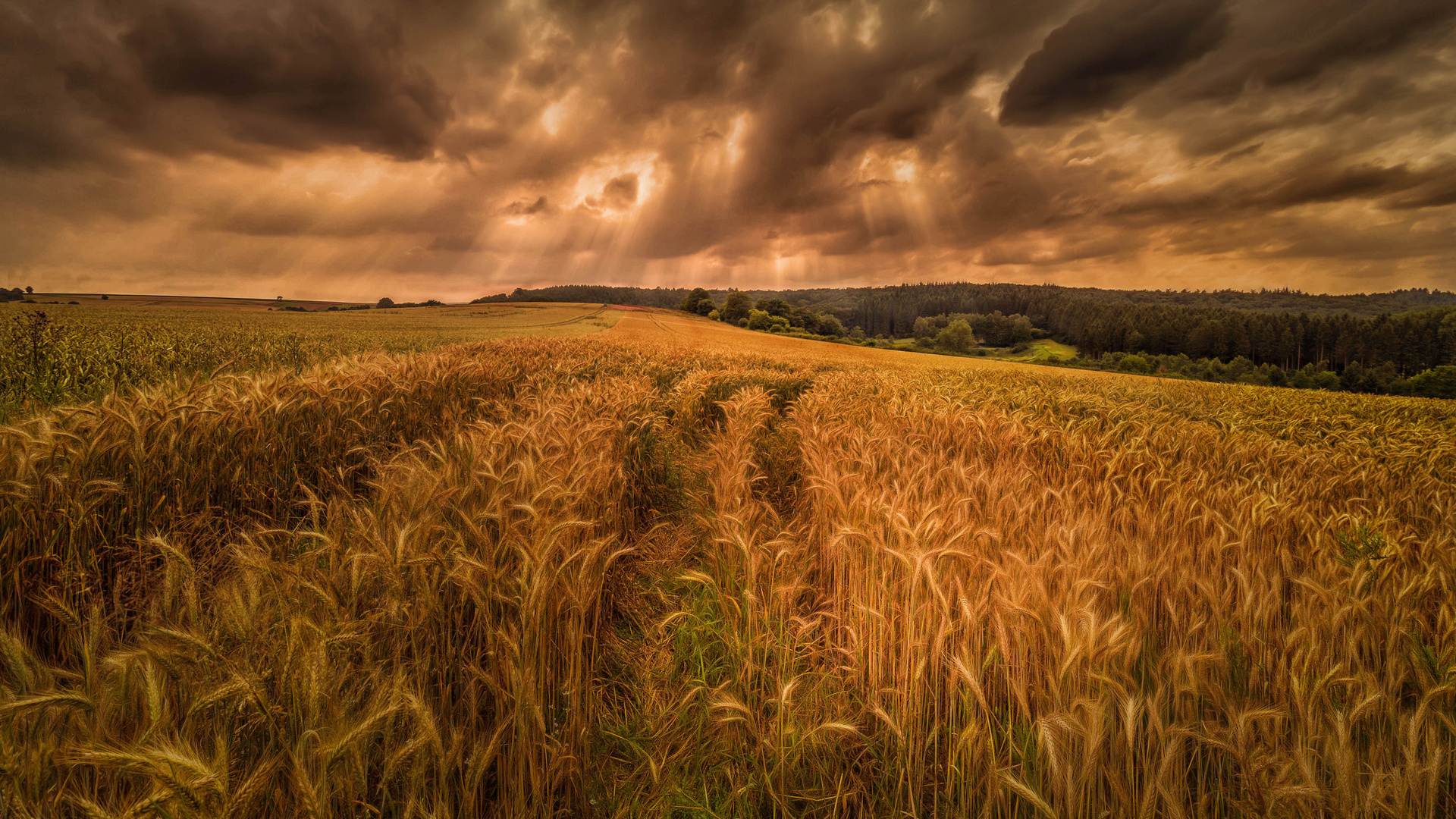 Tief. Foto & Bild | landschaften, himmel, felder Bilder auf fotocommunity