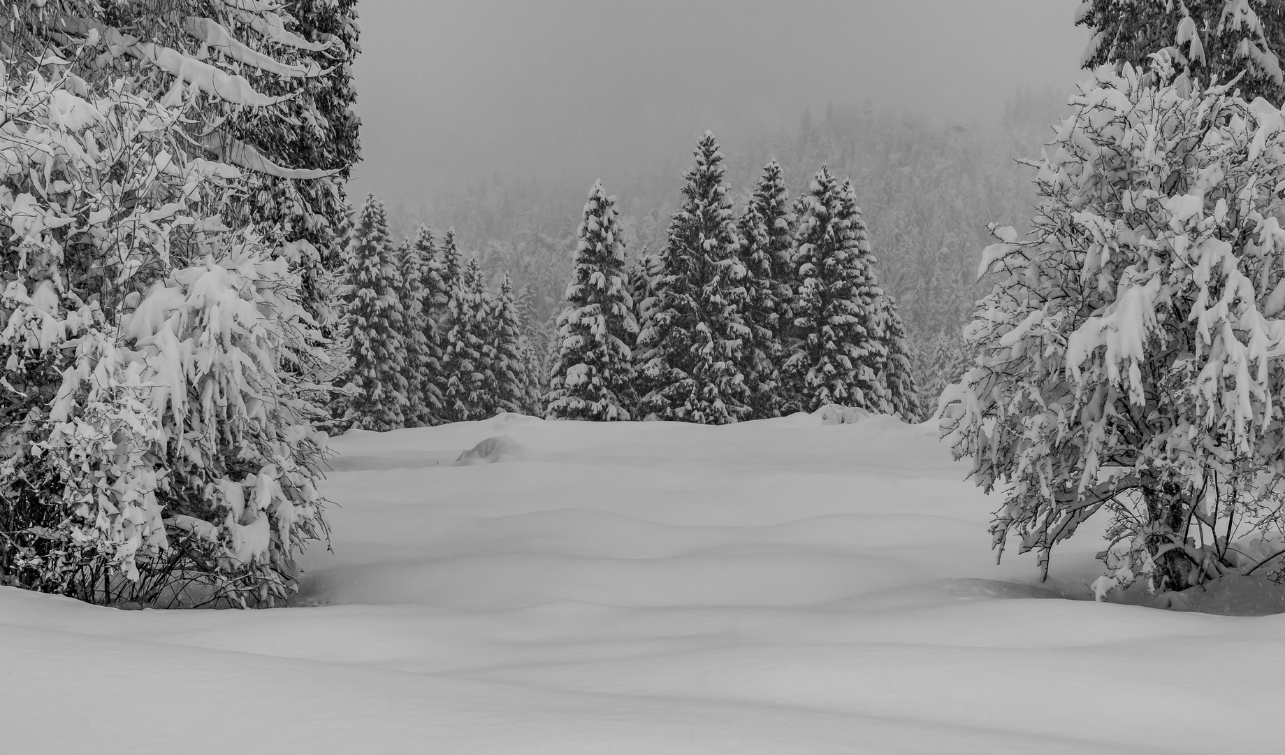 Tief verschneit Foto & Bild | spezial, winter, schnee Bilder auf ... Tief verschneit Foto & Bild | spezial, winter, schnee Bilder auf ...