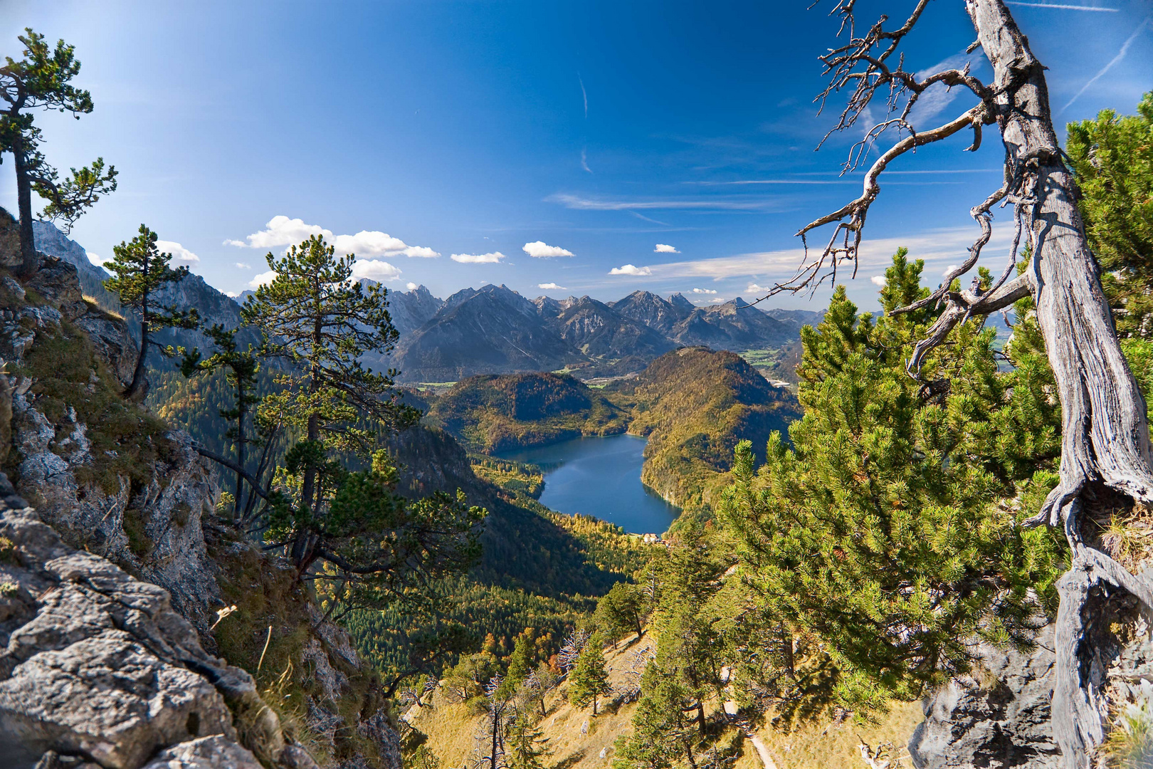 Tiefblick-Alpsee Foto & Bild | deutschland, europe, bayern Bilder auf ...