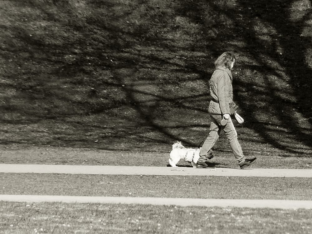 Tier und Mensch Foto & Bild | erwachsene menschen, konzept- fotografie ...