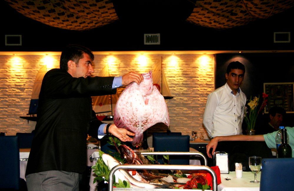 Tiere essen Foto & Bild | europe, turkey, istanbul Bilder auf fotocommunity