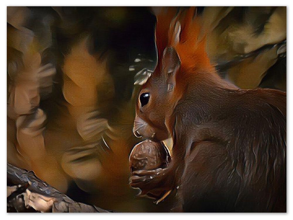 Tiere im Berggarten Herrenhausen Foto & Bild | tiere, bearbeitungs - techniken, filtertechniken ...