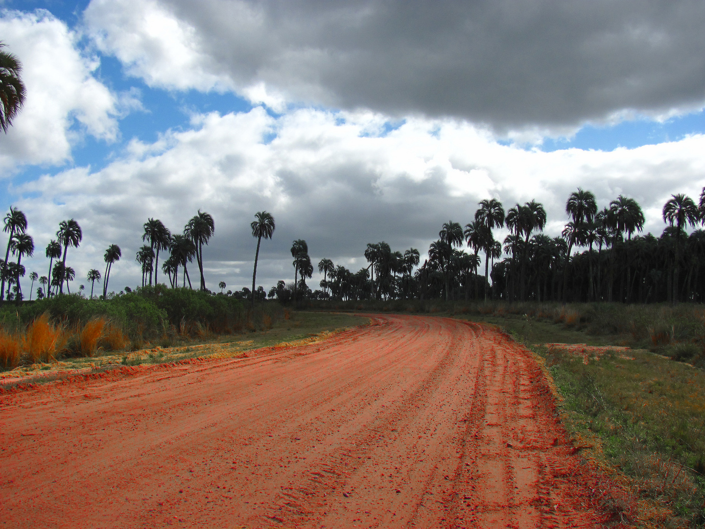 TIERRA COLORADA Imagen & Foto | naturaleza, paisajes, plantas Fotos de ...