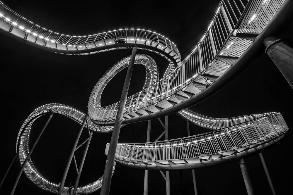 Tiger and Turtle Foto & Bild | kunstfotografie & kultur, gemälde ...